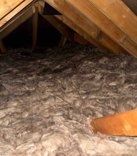 Loft Insulation | GO TO ECO